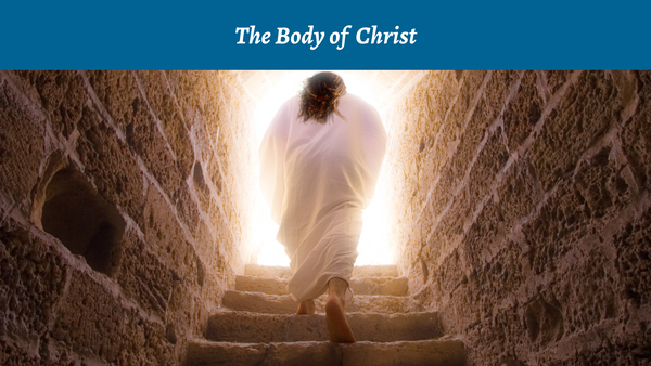 The Body of Christ | Devotional | Bible Study Media