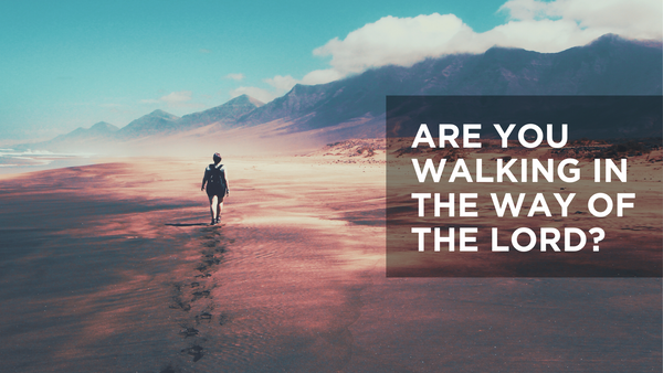 Are You Walking in the Way of the Lord? | Bible Study Media
