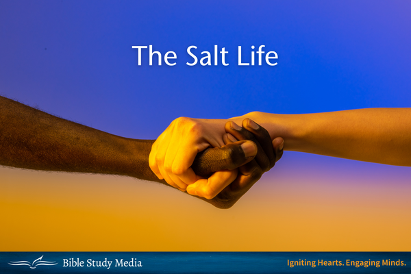 The Salt Life | Devotional | Bible Study Media