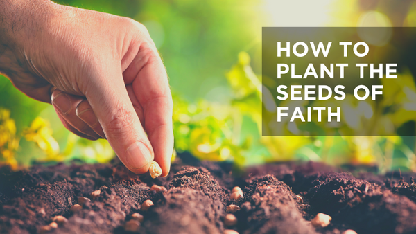 How to Plant the Seeds of Faith | Bible Study Media