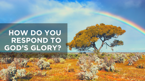 How Do You Respond to God’s Glory? | Devotional | Bible