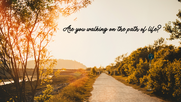 Are You Walking on the Path of Life? | Bible Study Media
