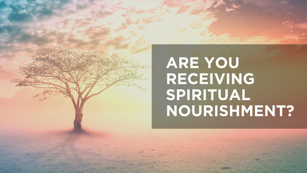 Are You Receiving Spiritual Nourishment? | Bible Study Media