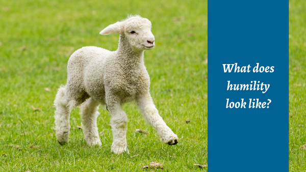 What Does Humility Look Like? | Bible Study Media