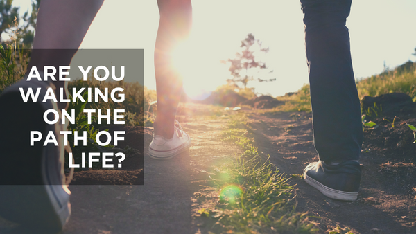 Are You Walking on the Path of Life? | Devotional | BSM