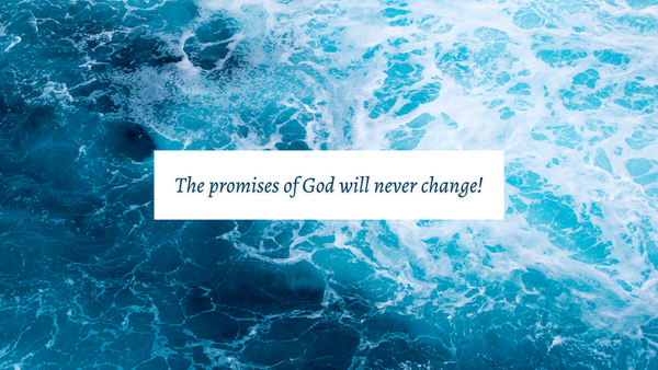 Transformation by Love | Devotional | Bible Study Media