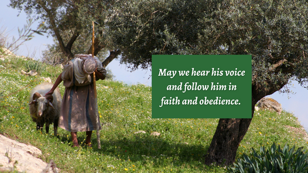 Following the Good Shepherd | Devotional | Bible Study Media