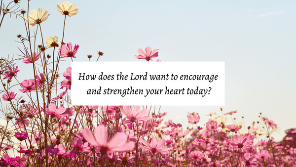 We Do Not Lose Heart | Devotional | Bible Study Media