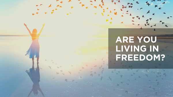 Are You Living in Freedom? | Devotional | Bible Study Media