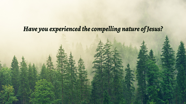 The Compelling Nature of Jesus | Bible Study Media