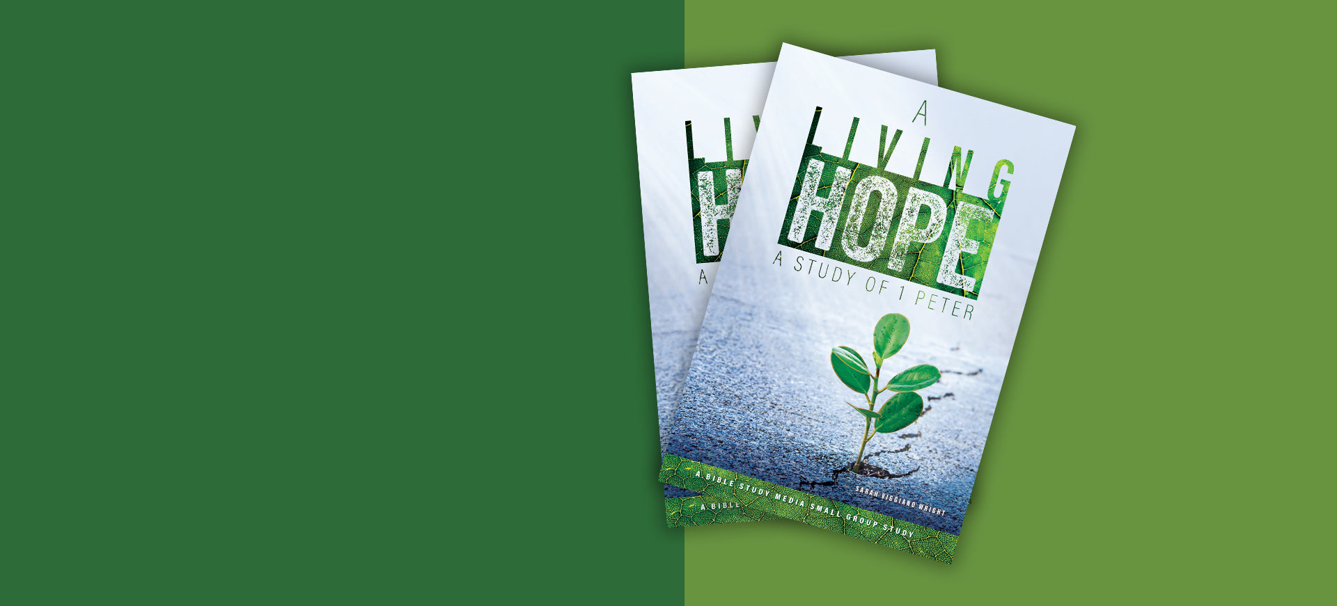 Small Group Bible Study Books | Adults & Children | Bible Study Media