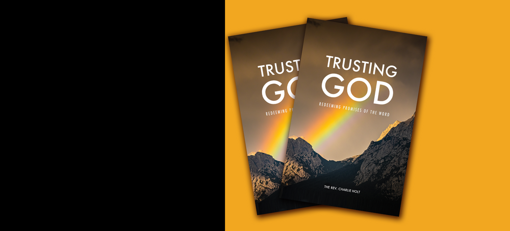 Small Group Bible Study Books | Adults & Children | Bible Study Media