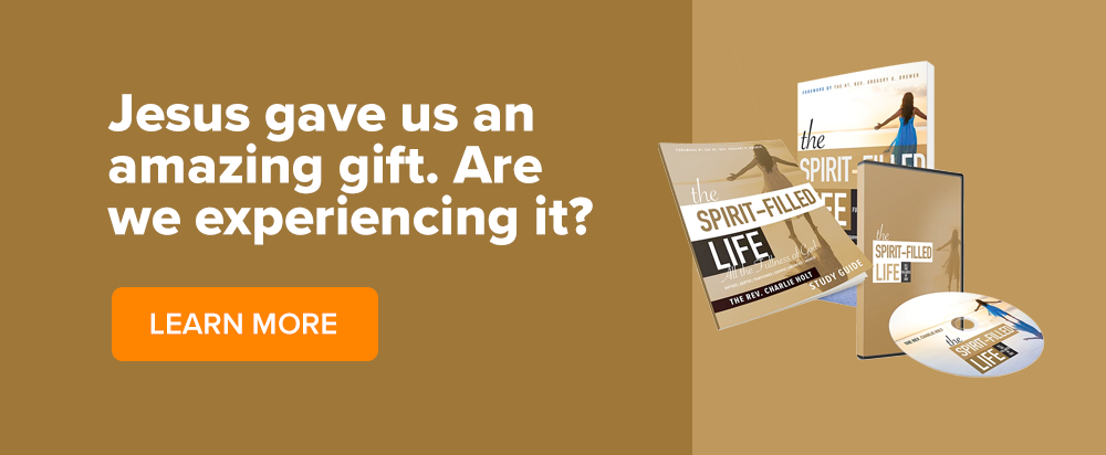 Small Group Bible Study Books | Adults & Children | Bible Study Media