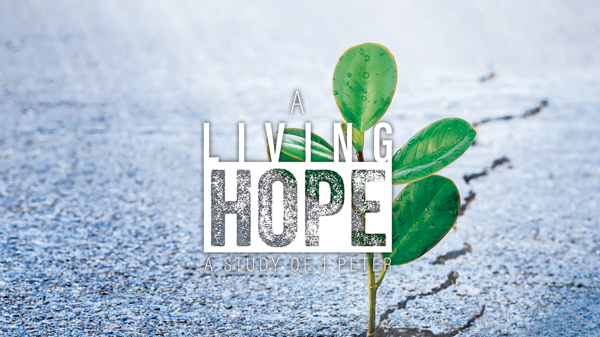 Bible Study Guid | A Living Hope | Study of 1 Peter